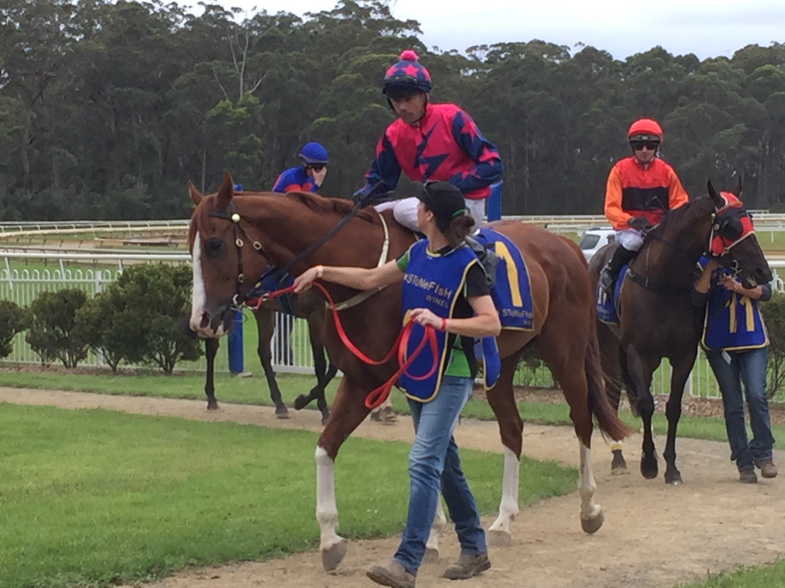 Moruya Cup Day 2019 – THOROTEK RACING