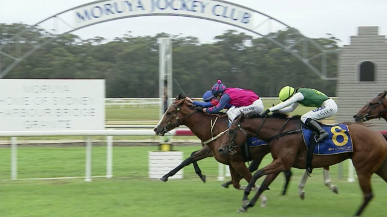 Moruya Cup Day 2019 – THOROTEK RACING