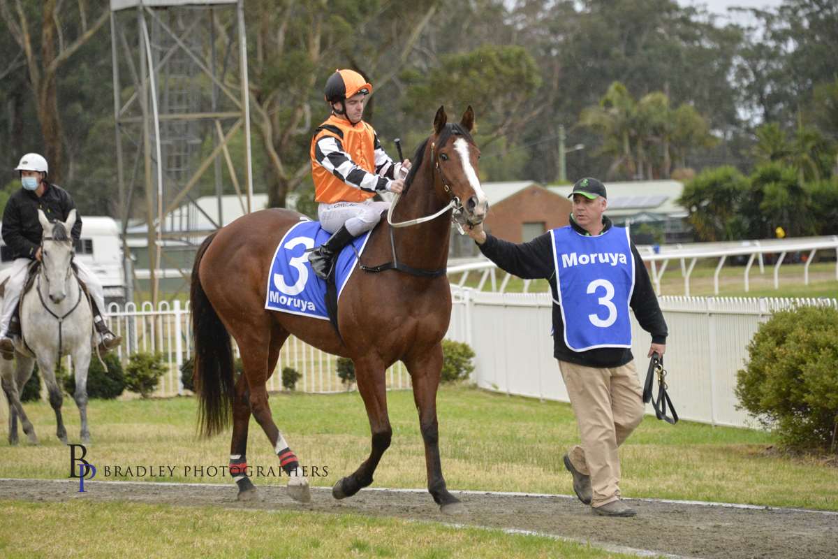 Hay Bale is back! – THOROTEK RACING