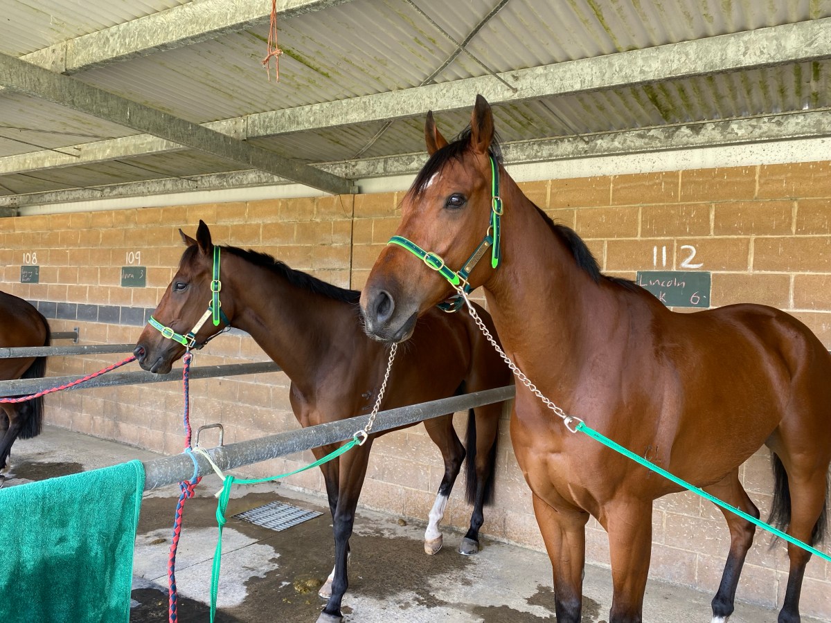 2nd for Kitty at Sapphire Coast – THOROTEK RACING